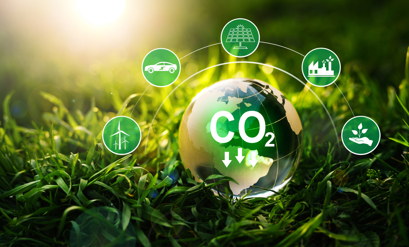 Vermindering van de CO2-uitstoot - Cocon Fiber